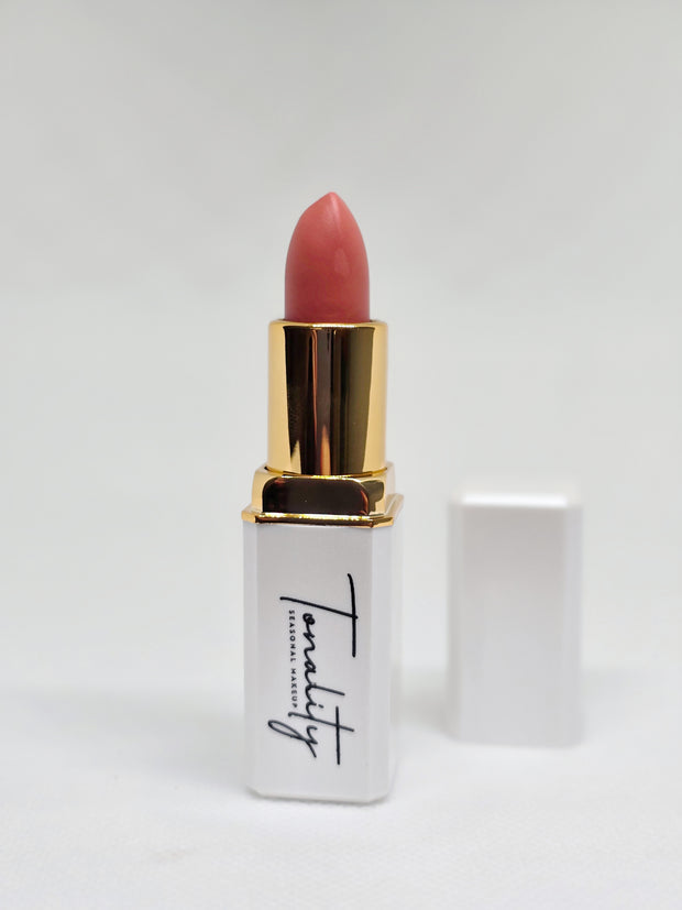 #20 Toasted Terracotta - Velvet Blur Lipstick – Tonality